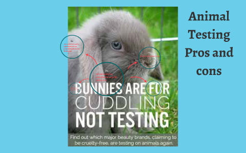 Animal Testing Pro and cons by Susanna Bruce on Prezi