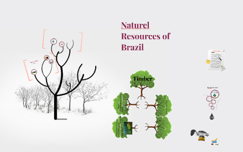 Natural Resources of Brazil by Erica H on Prezi