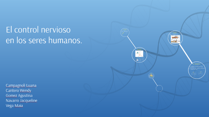 El control nervioso by Lulii Campagnoli on Prezi