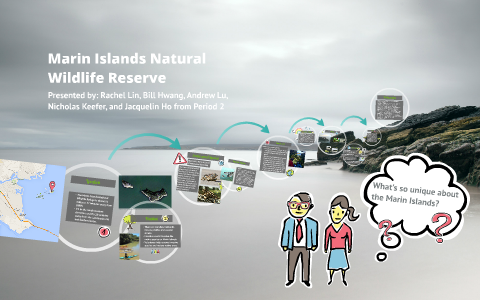 Marin Islands Natural Wildlife Reserve by Jackie Ho on Prezi