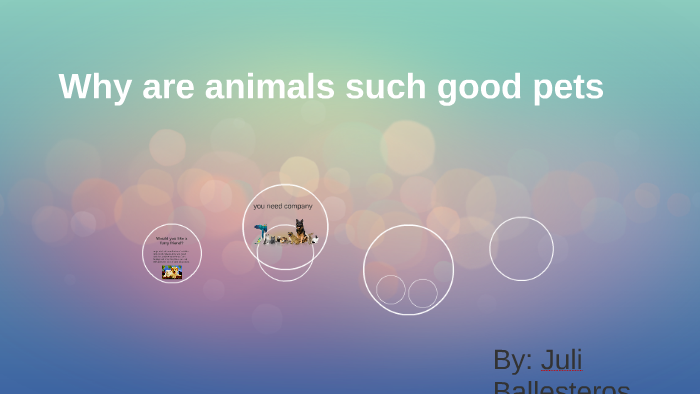 Why are animals such good pets by Juli Ballesteros