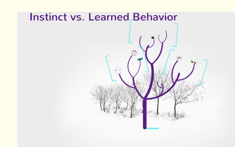 Instinct vs. Learned Behavior by Kriste Wolfe on Prezi