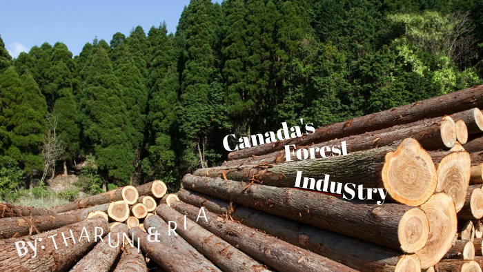 Canadian Forest Industry by Tharuni I on Prezi