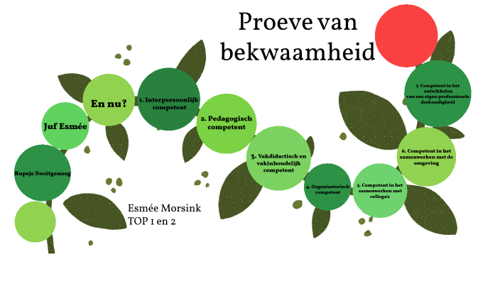 Proeve van bekwaamheid - TOP by Esmée Morsink on Prezi