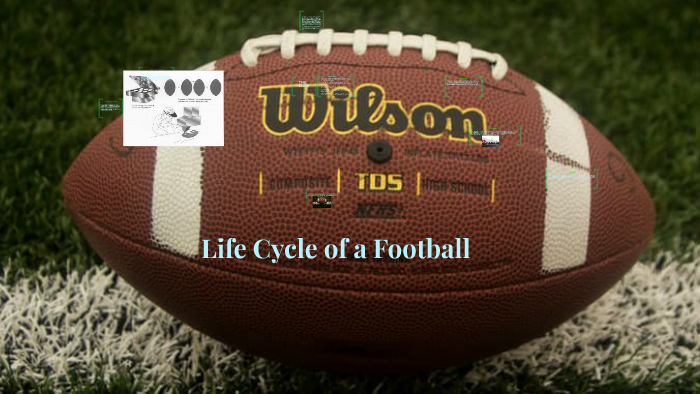 Life Cycle of a Football by Jackson Allen on Prezi