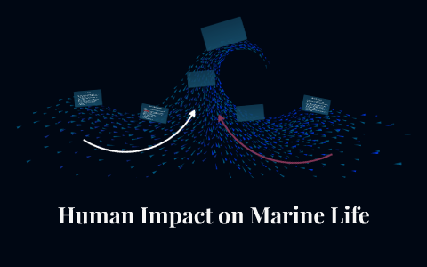 Human Impact on Marine Life by Coleby Postle on Prezi