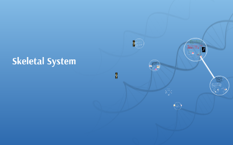 Skeletal System by on Prezi