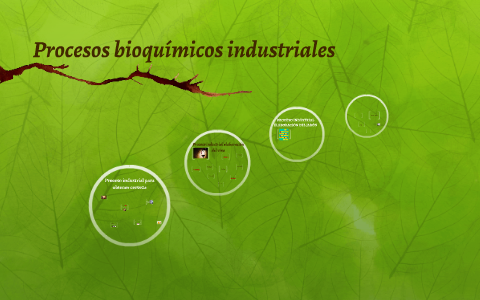 Procesos bioquímicos industriales by Krl's Varela on Prezi