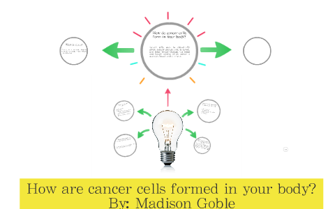 How do Cancer cells form in your body? by Madison Goble on Prezi