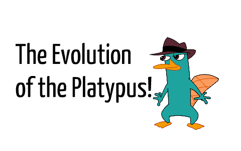 Evolution of the Platypus by Colton Silvia on Prezi