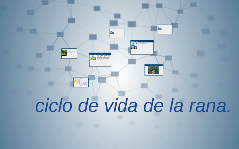 ciclo de vida de un caracol by Juliana Tripañan on Prezi