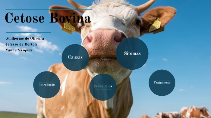 Cetose Bovina by Yanne Vasques Yule on Prezi