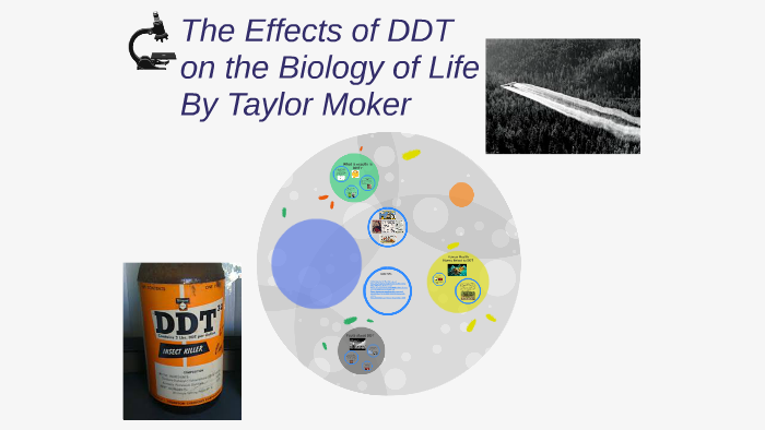 The Effects of DDT on the Biology of Life by Taylor Moker on Prezi
