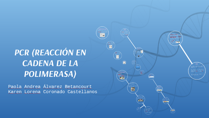 PCR (REACCIÓN EN CADENA DE LA POLIMERASA) by Lorena Coronado on Prezi
