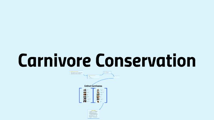 Carnivore Conservation by Connor Wadkins on Prezi