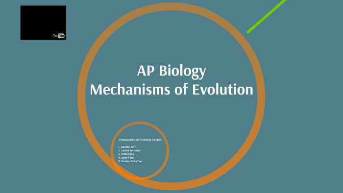 Mechanisms of Evolution - AP BIO by Ty Flom on Prezi