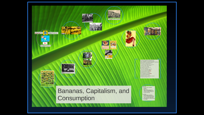 Bananas, Capitalism, and Consumption by Rebecca Ellis on Prezi