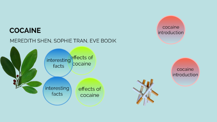 Cocaine Presentation by Meredith Shen on Prezi