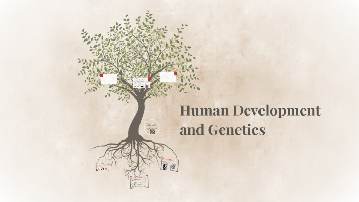 Human Development and Genetics by Alicia Roberts on Prezi