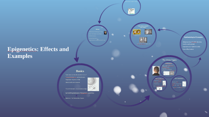 Epigenetics: Effects and Examples by Karl Lachhaft on Prezi