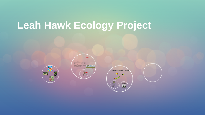 Leah Hawk Ecology Project by Anthony Chucci on Prezi
