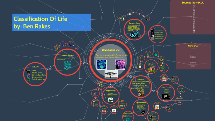 Domains Of Life by Ben Rakes on Prezi