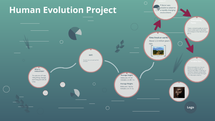 Human Evolution Project by Erin Phillip on Prezi