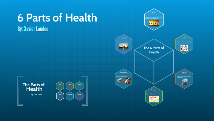 6 Parts of Health by Xavier Landeo