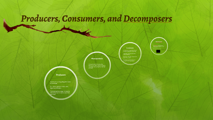 Producers, Consumers, and Decomposers by Jessica Szymanski on Prezi