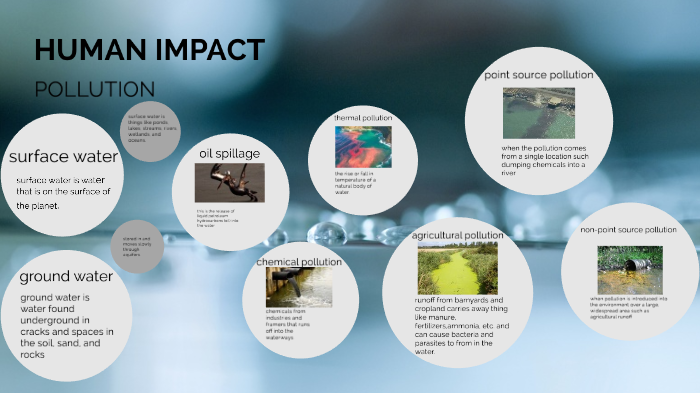 human impact (pollution) by Taylor Farrise on Prezi