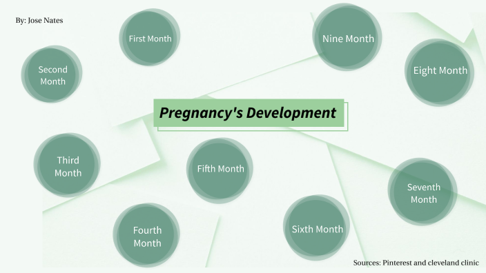 Pregnancy's development timeline by jose nates on Prezi