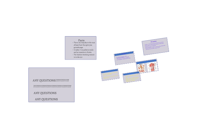 Muscular System by kaleb simon
