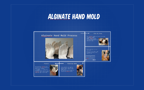 Alginate Hand Mold Process by Megan Tuttle on Prezi