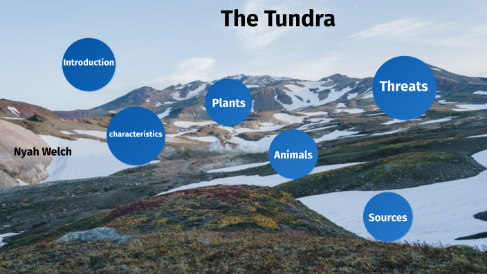 Biome Project by Nyah Welch on Prezi