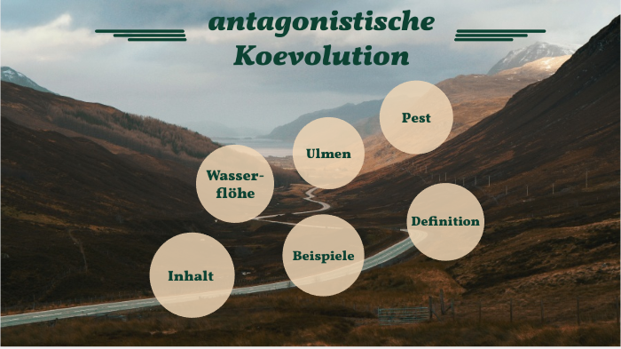 antagonistische Koevolution by Malte Schübeler on Prezi