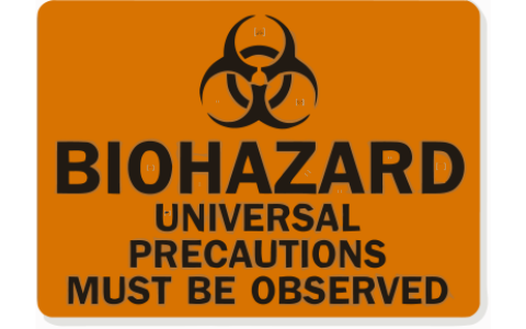 EBP Universal Precautions by Bridget Carpinone on Prezi