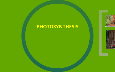 Photosynthesis year 8 by Shirley Madzarevic on Prezi