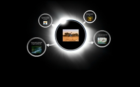 ay que cuidar los arboles por que sin arboles no tenemos vid by Onofre ...