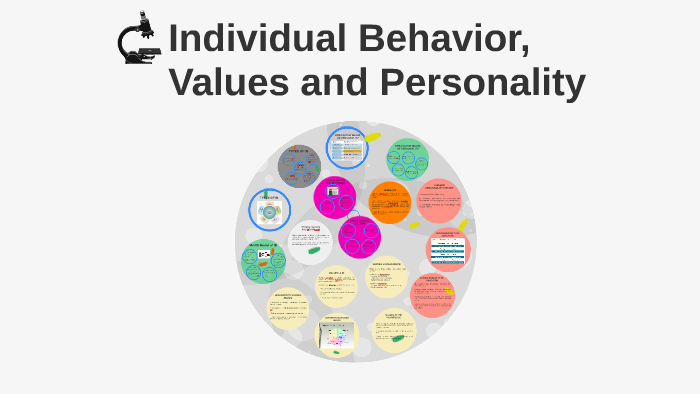 Individual Behavior, Values and Personality by sham isa