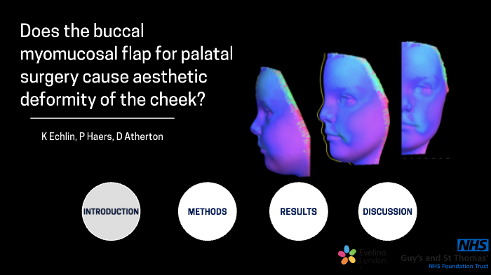 buccinator flap by Kezia Echlin on Prezi