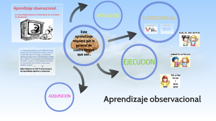 Proceso De Aprendizaje Observacional