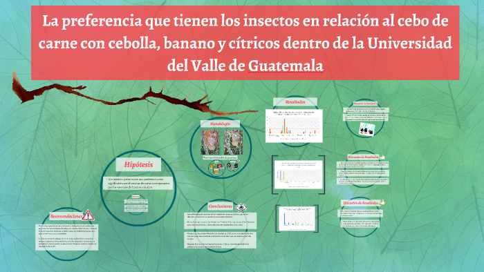 La preferencia que tienen los insectos en relación al cebo d by Ana ...