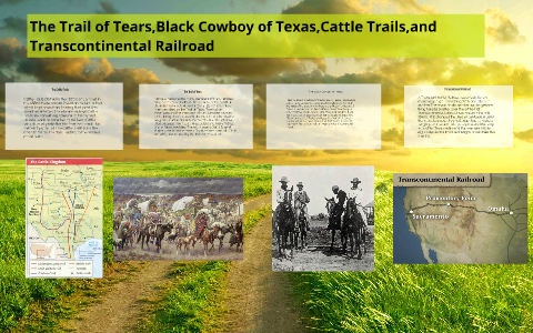 The Trail of Tears,Black Cowboy of Texas,Cattle Trails,and by Angela ...