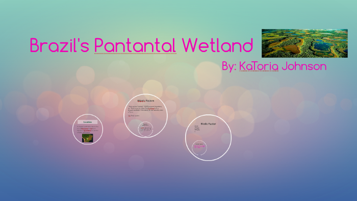 Brazil's Pantanal wetlands by Katoria Johnson on Prezi