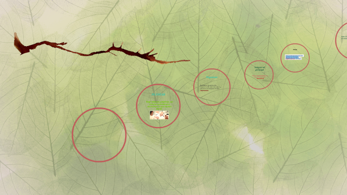 PLANEAR by Daniela Balderas on Prezi