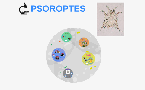 PSOROPTES by Natalia Tamez on Prezi