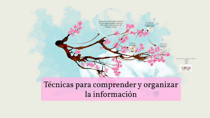 Técnicas para comprender y organizar la información by Maria Monserrat ...