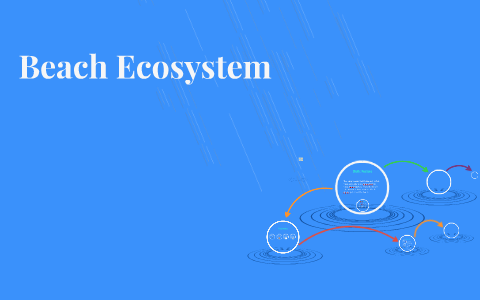 Beach Ecosystem by Isaac Morris on Prezi