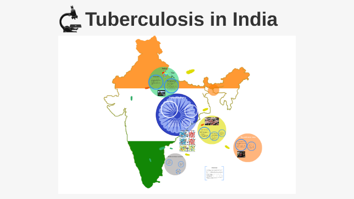 Tuberculosis in India by on Prezi