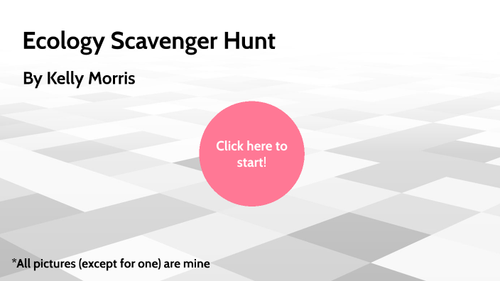 Ecology Scavenger Hunt by Kelly Morris on Prezi